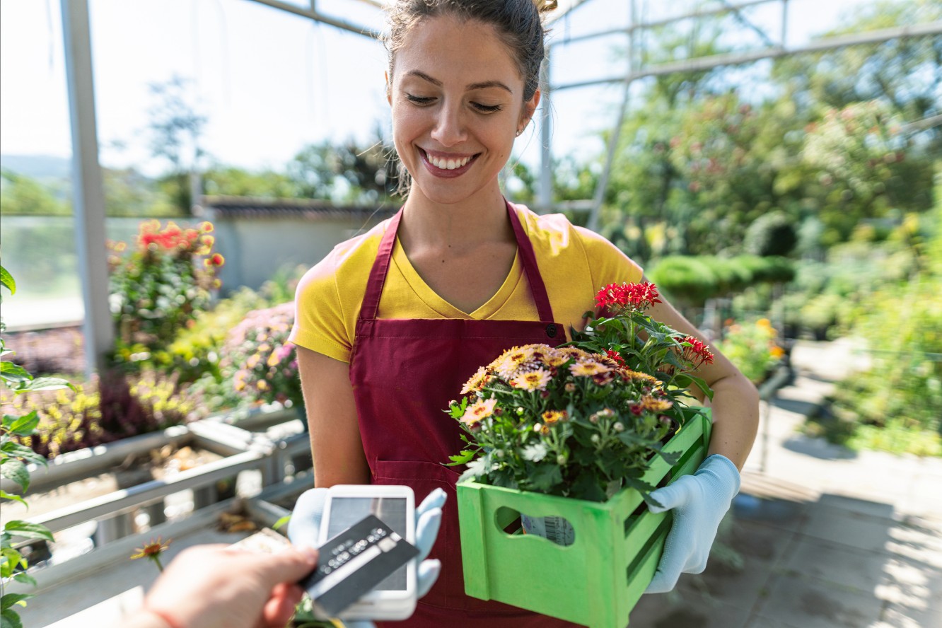 Pachete IMM cont curent Start