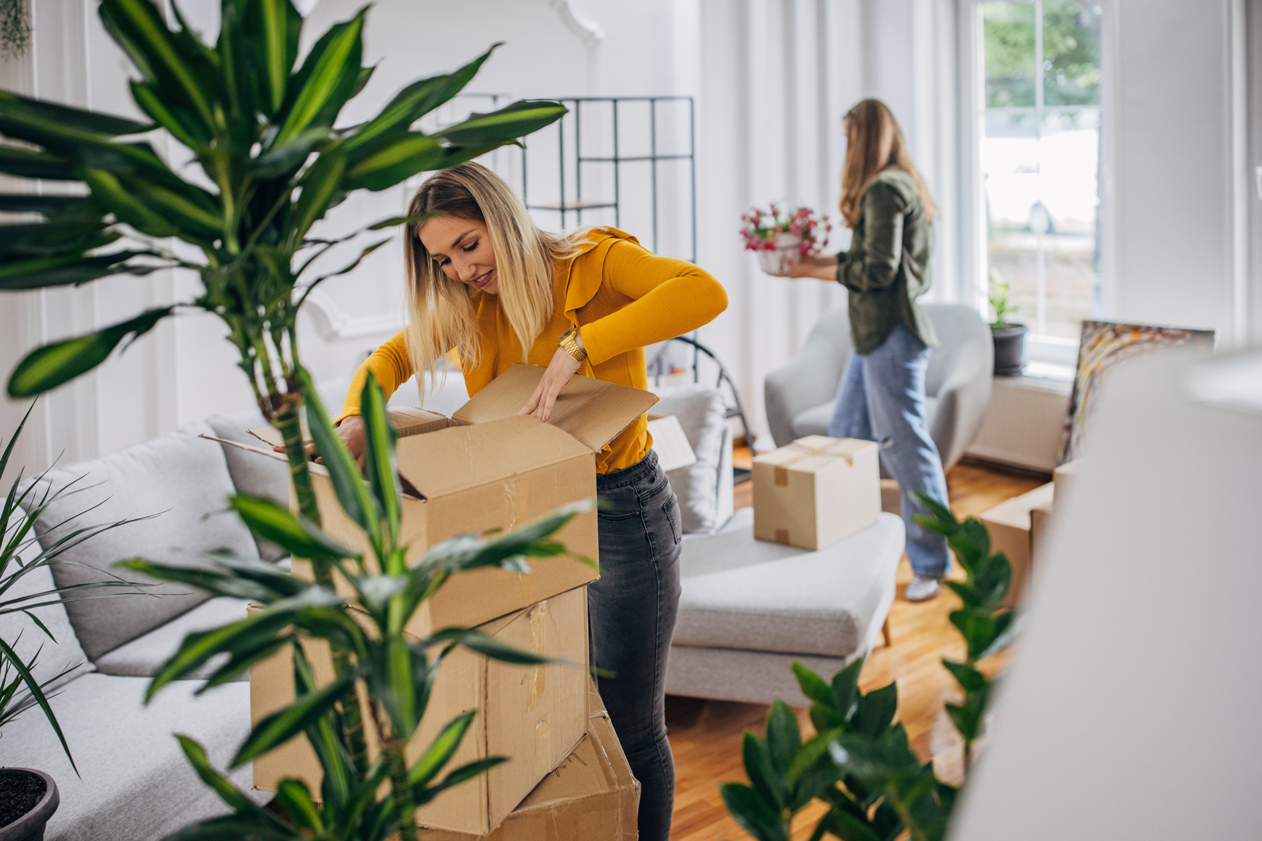 Sfaturi utile: beneficii carduri de credit